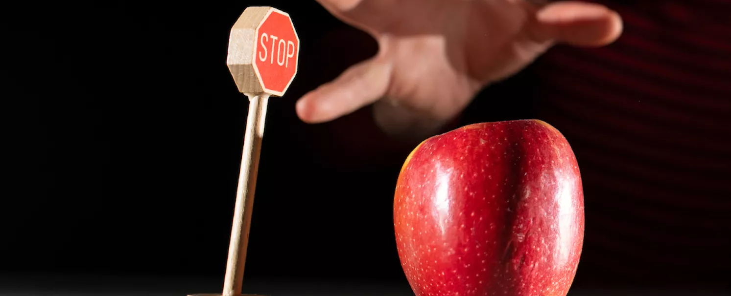 La Journée Mondiale de la Marionnette | Province de Hainaut